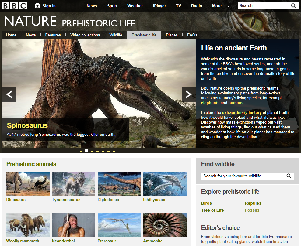 Prehistoric Life - BBC - Content - ClassConnect