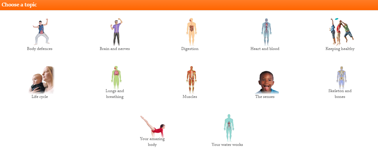 Human body - Content - ClassConnect