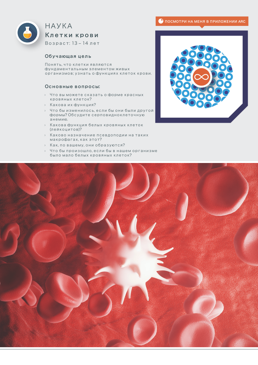 Blood Cells (Russian) - Content - ClassConnect