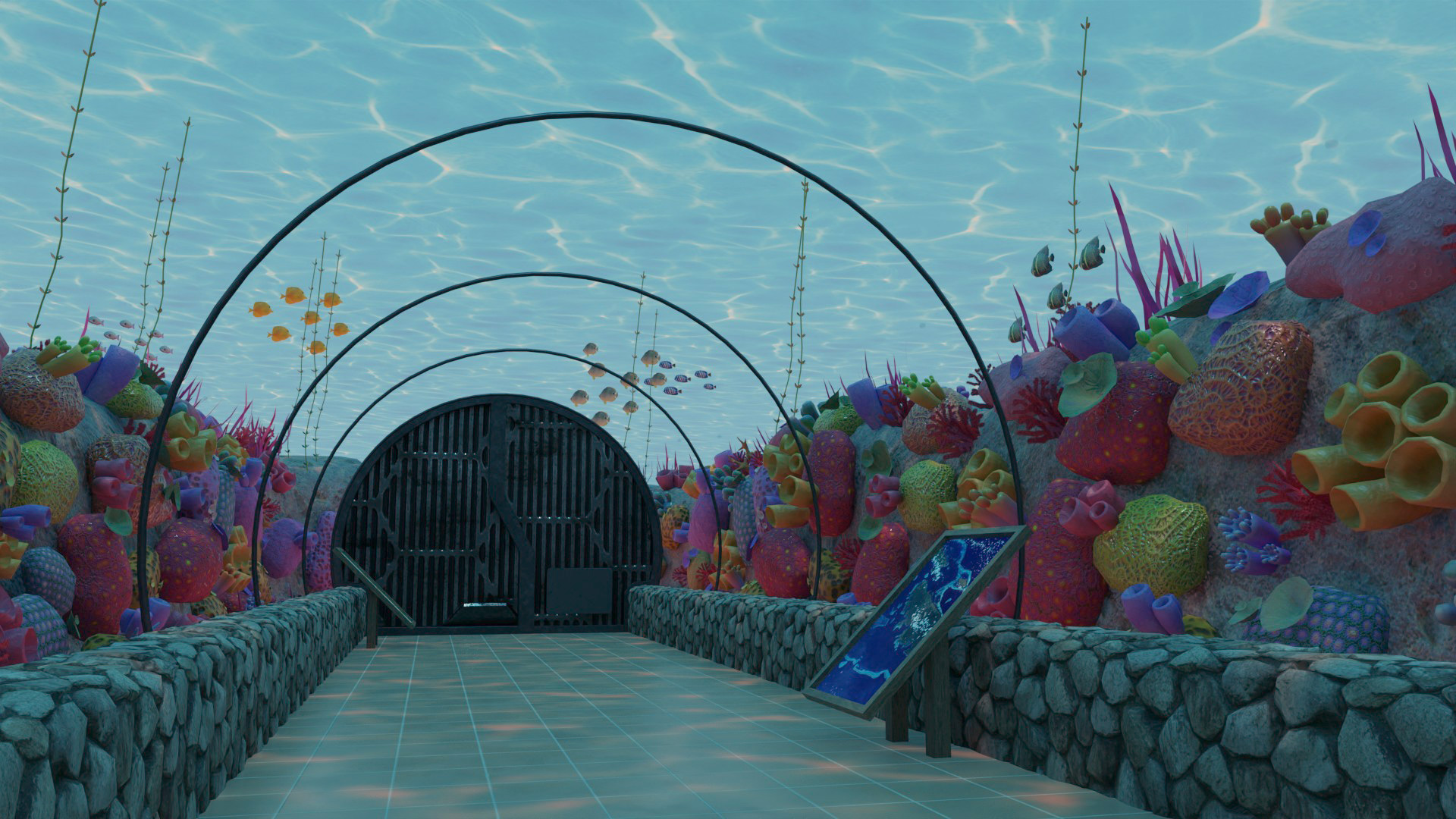 The Coral Reef - Content - ClassConnect