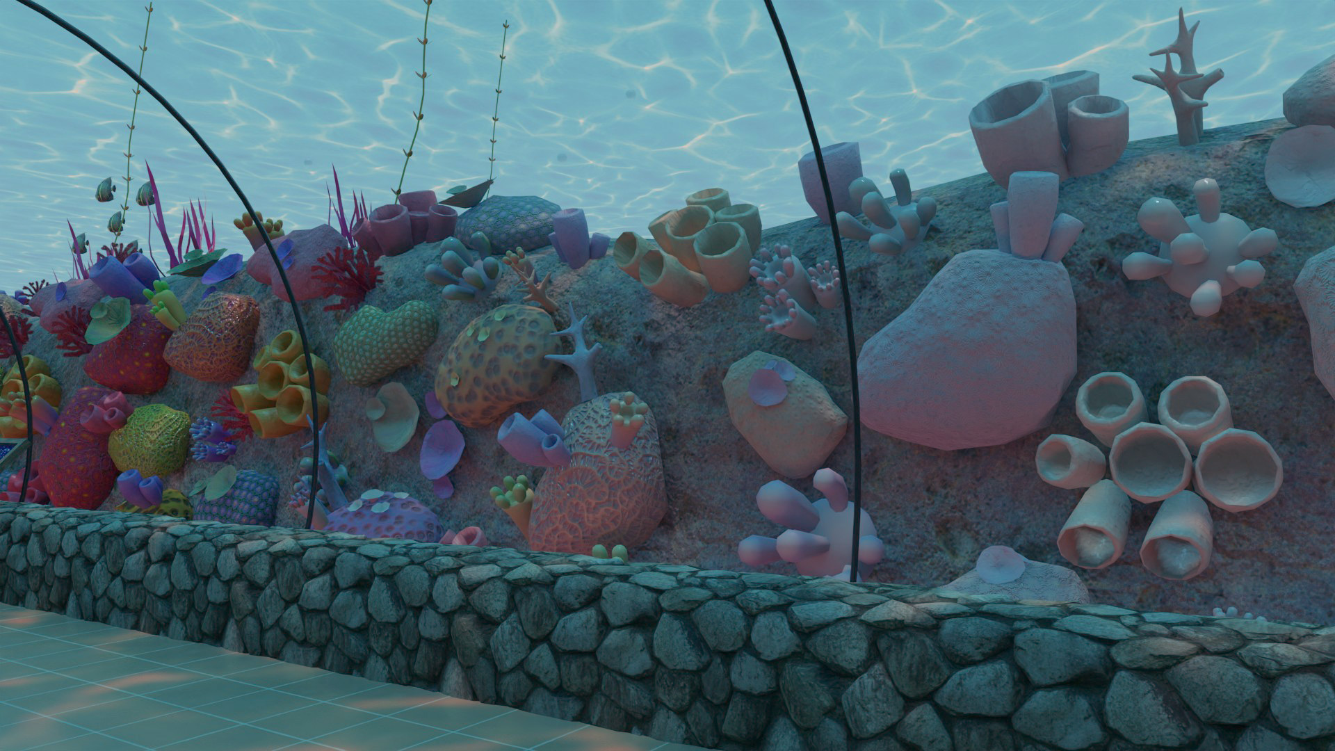 The Coral Reef - Content - ClassConnect