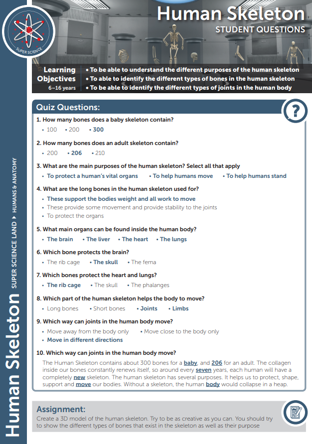 The Human Skeleton Quiz Answers - Content - ClassConnect